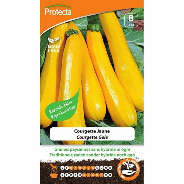 Protecta Groente Zaden Courgette - Geel - De Boer